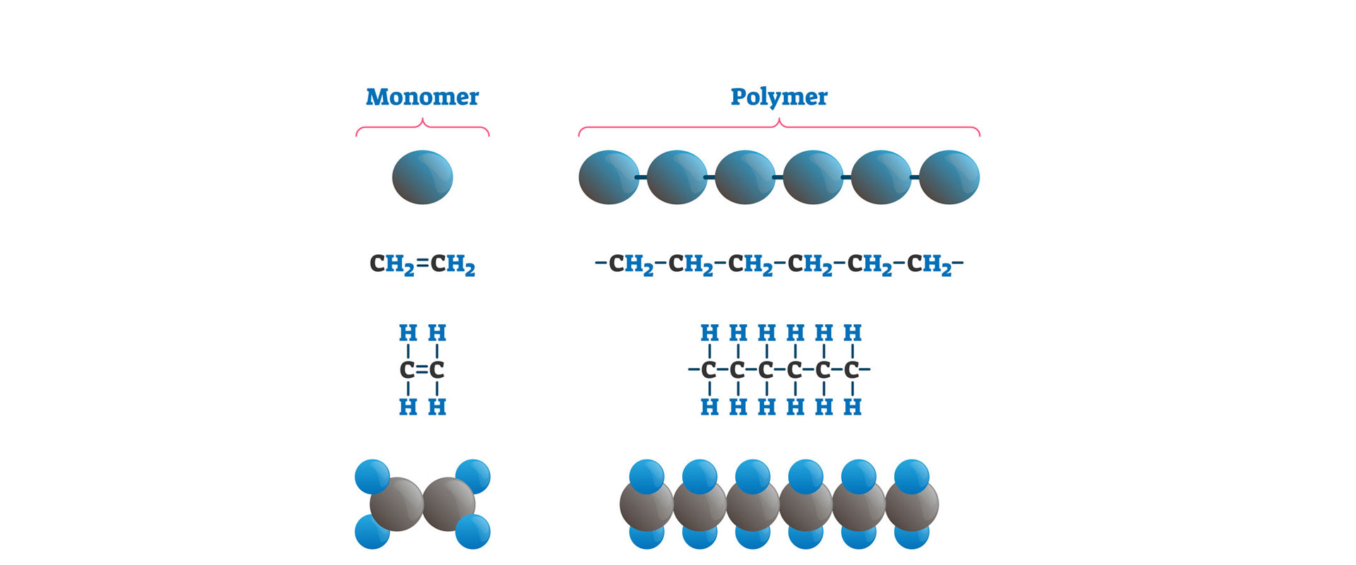 Redox Scientific _Top Polymer Monomer CDMO/CRO.